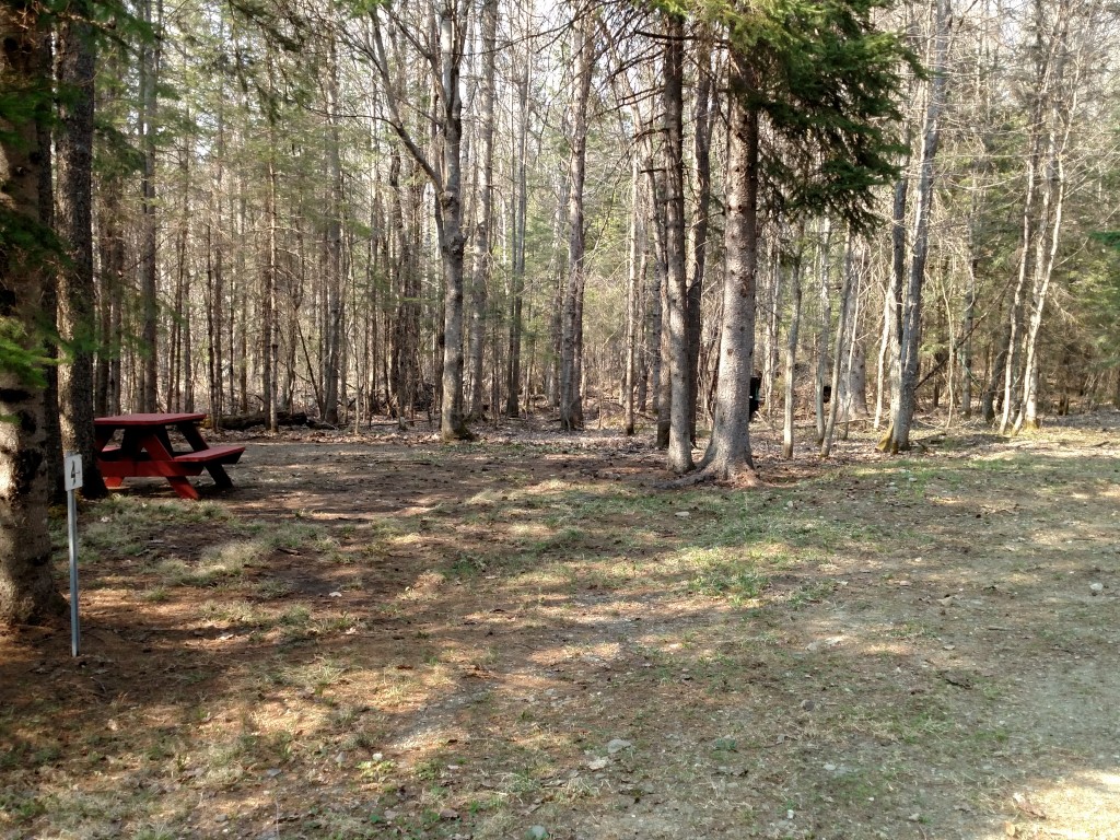 Campsite #4 w/ Water & 30AMP Electric (BOOKED FOR THE 2024 SEASON ...