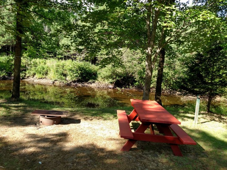 Campsite #13 w/ Water & 30AMP Electric | Clear Stream Campground